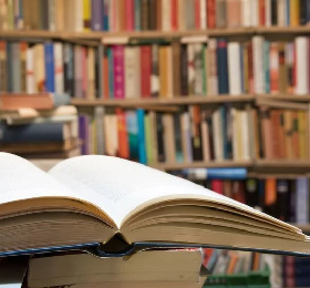 Ecommerce SEO Company India | Best Ecommerce SEO Services